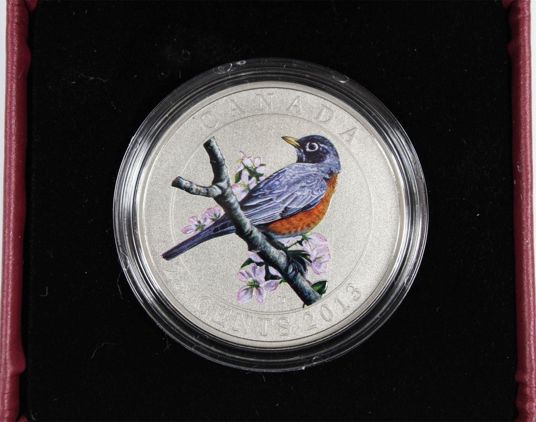 2013 AMERICAN ROBIN 25 CENT COLORED COIN