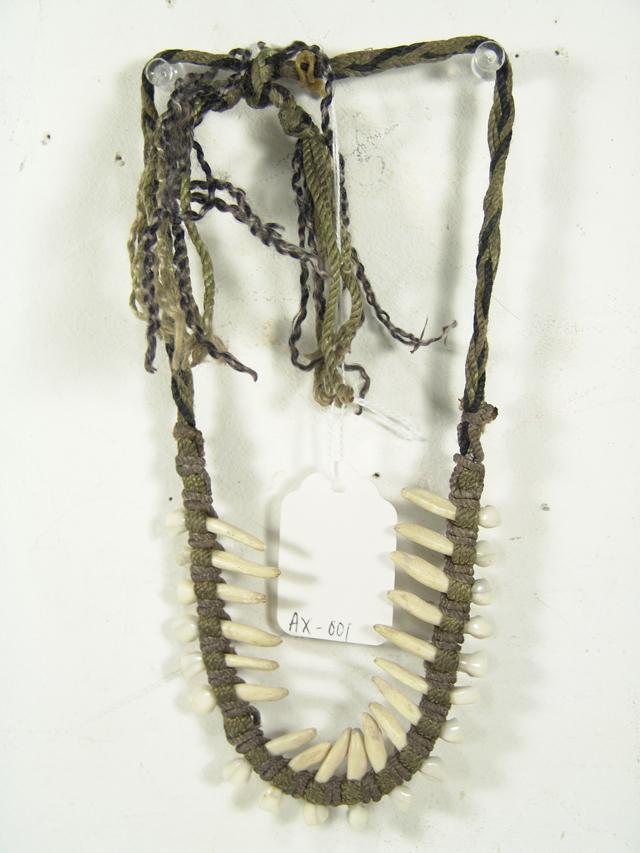 Lakota Dog Tooth Necklace
