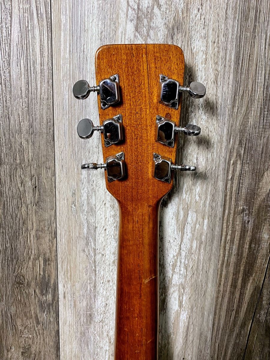 Giannini Steel String ACC Guitar w/ Hard Case