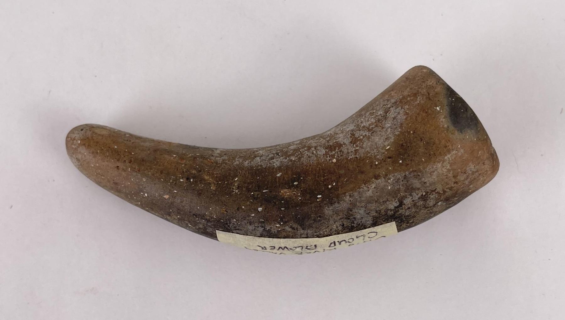 Cloud Blower Indian Pipe Ohio River Valley