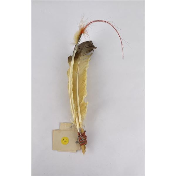 Native American Indian Coup Feather