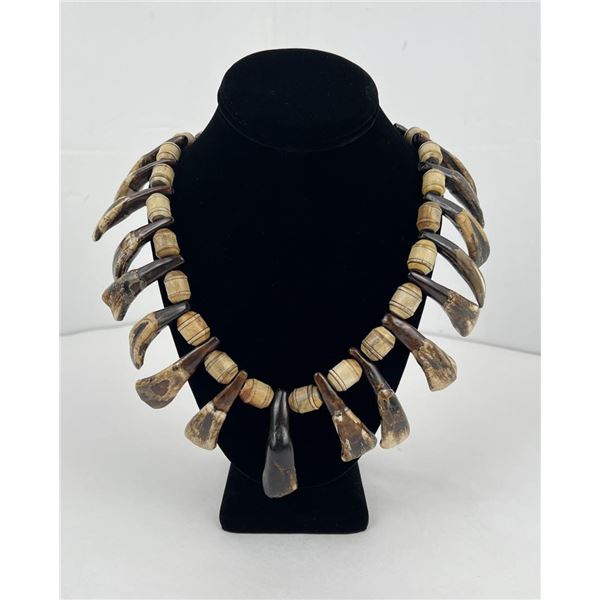 Plains Indian Buffalo Tooth Necklace