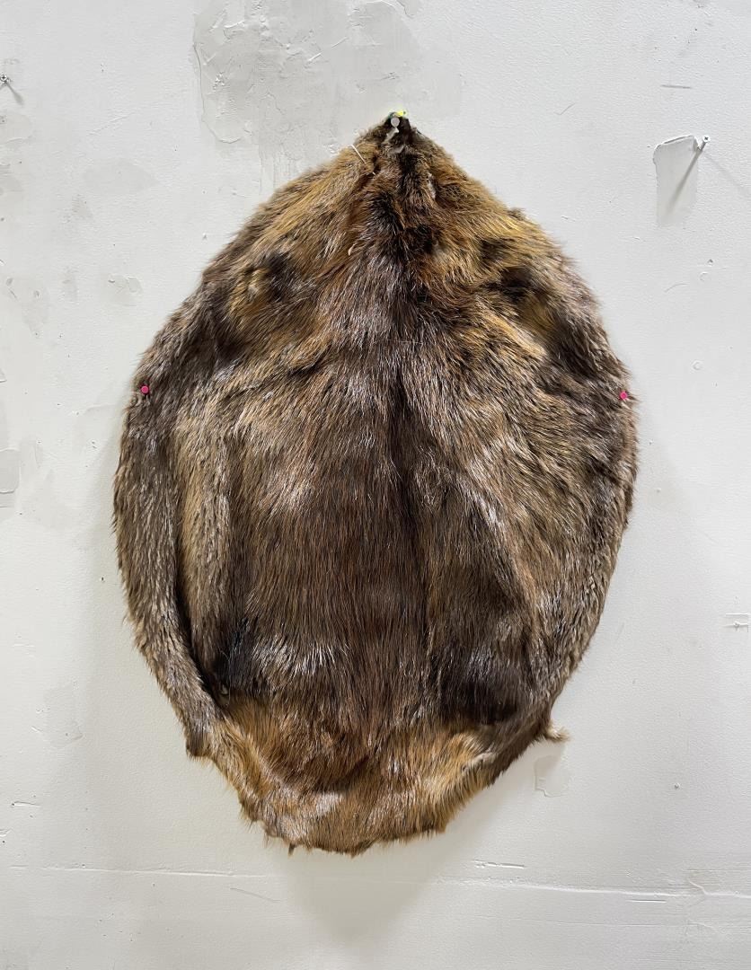 Montana Taxidermy Beaver Fur Pelt #40