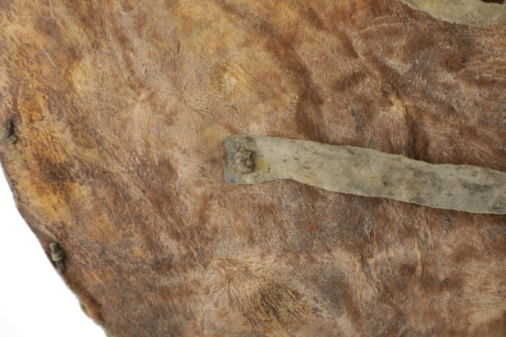 Circa 1865 Apsaalooke Crow Painted Medicine Shield