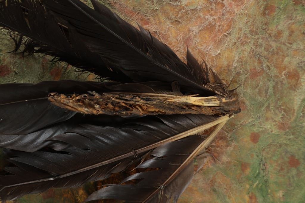 Circa 1865 Apsaalooke Crow Painted Medicine Shield