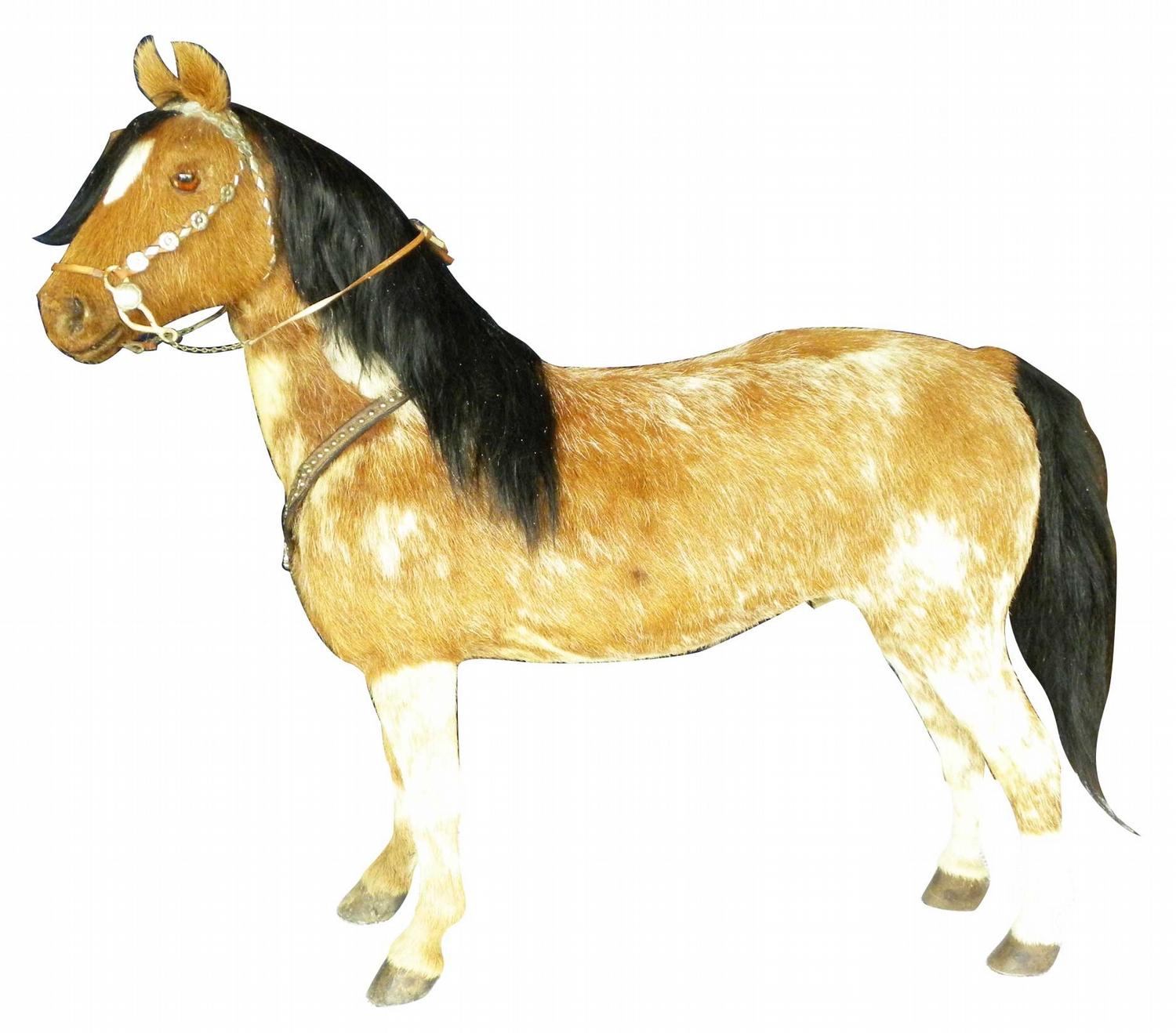 Dapple Buckskin, no saddle. Horse