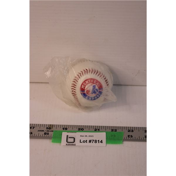 Montreal Expo Baseball Nib Bodnarus Auctioneering