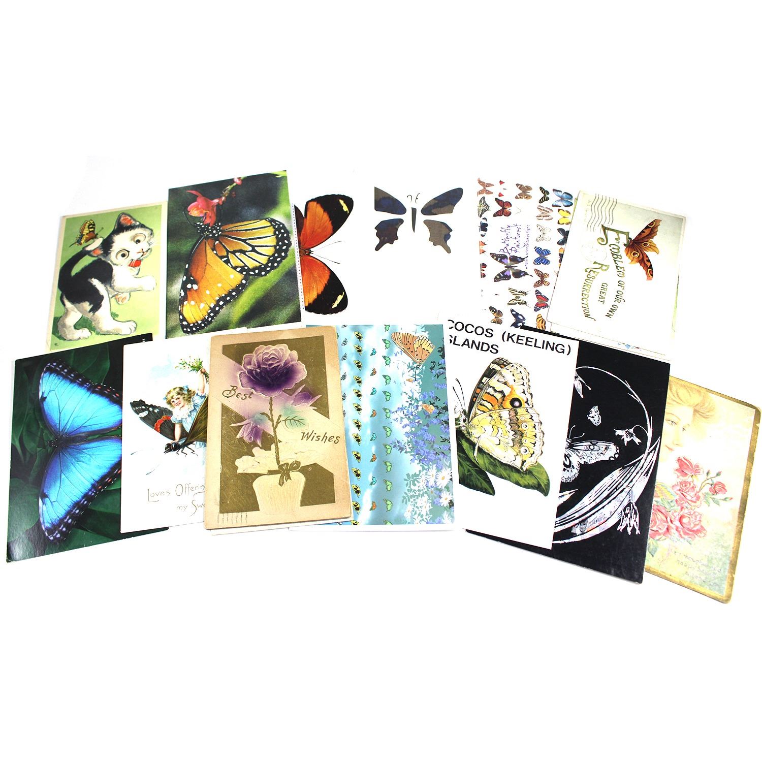 16x 1900s-2000s Butterfly Themed Postcards & Greeting Cards. Canada ...