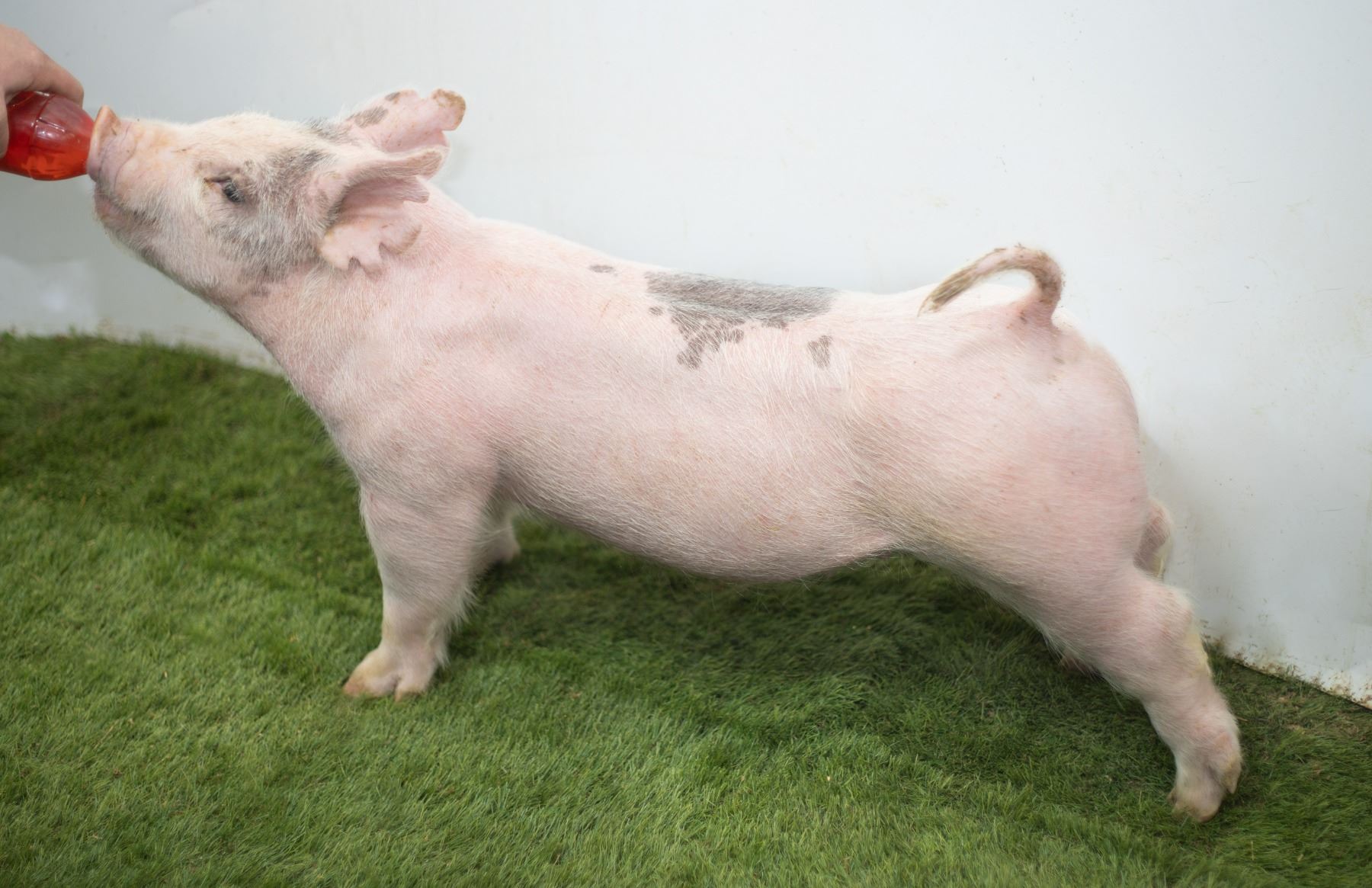 12-8 Cross Barrow