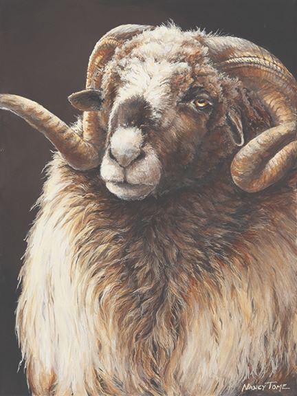 Nancy Tome-Navajo-Churro Ram