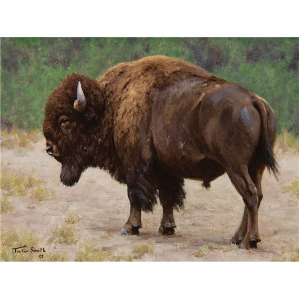 Tucker Smith-Bull Bison