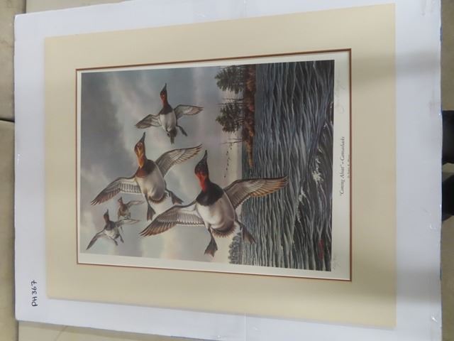 Jim Meger ''Coming About - Canvas Backs '' Signed and Numbered Print 21 ...