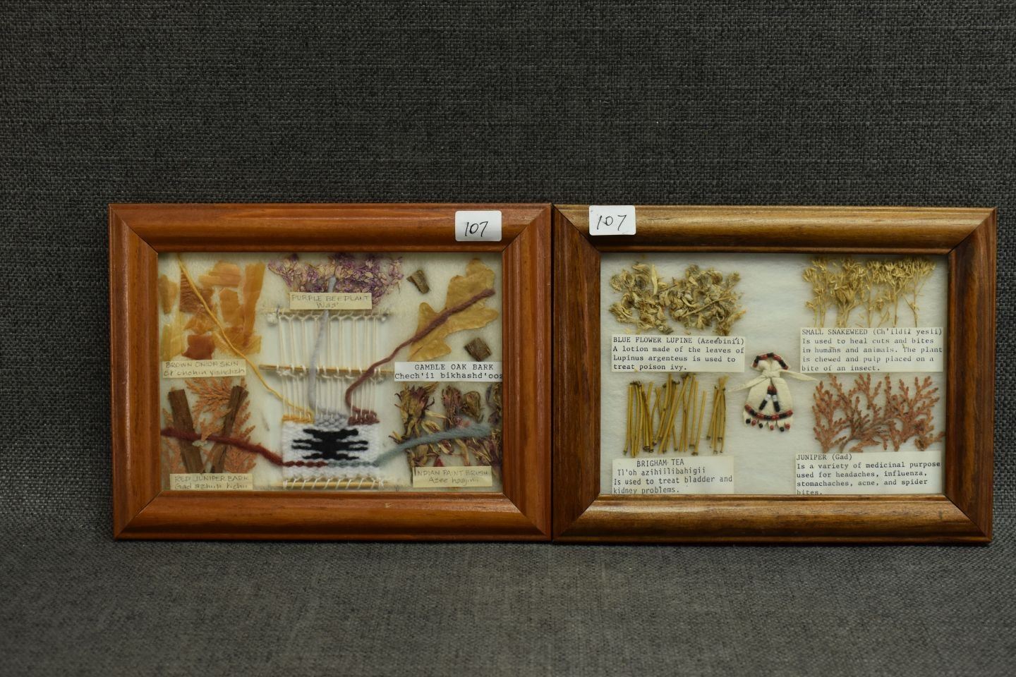 NAVAJO INDIAN DYE AND MEDICINE CHARTS