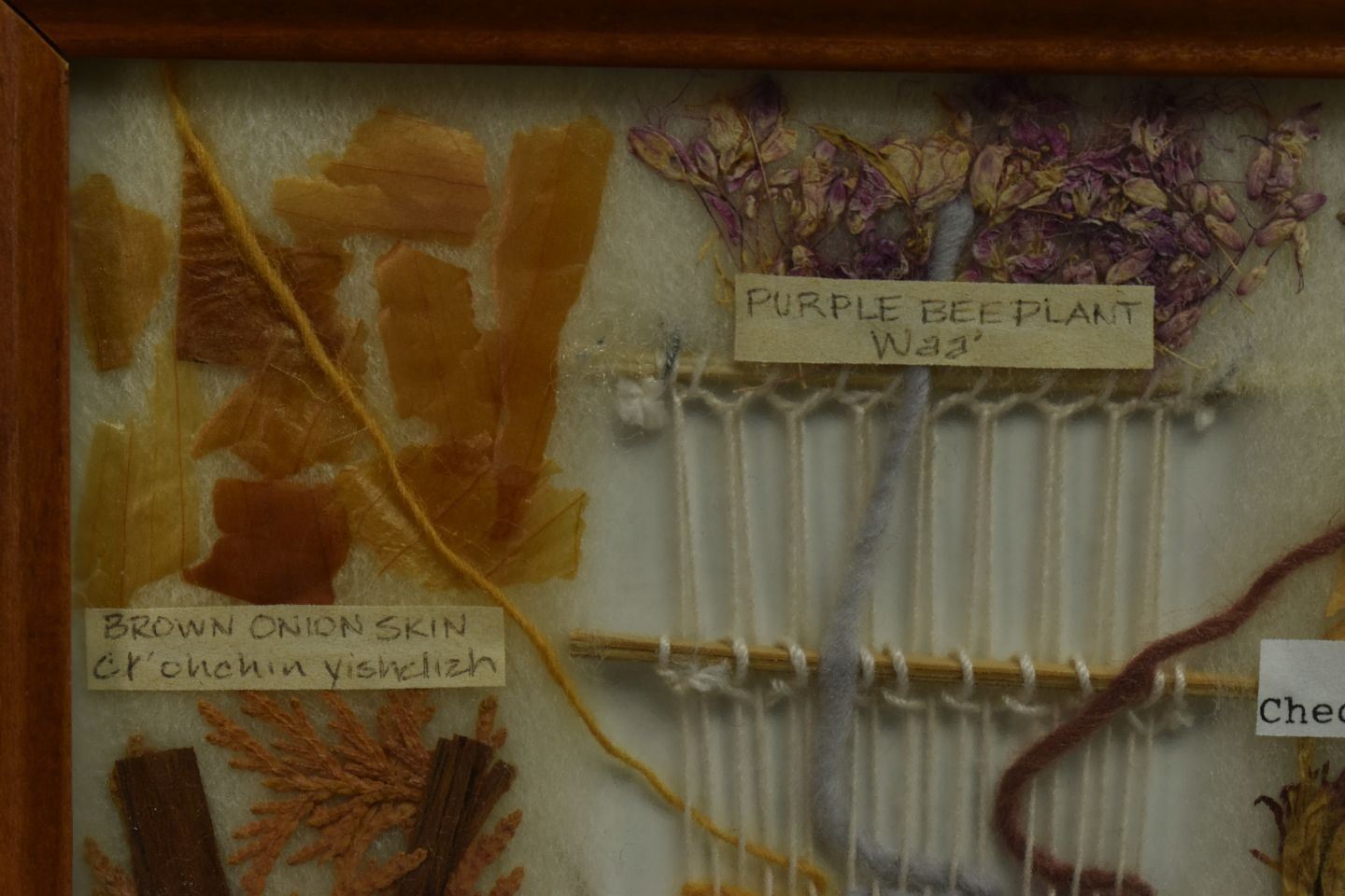 NAVAJO INDIAN DYE AND MEDICINE CHARTS