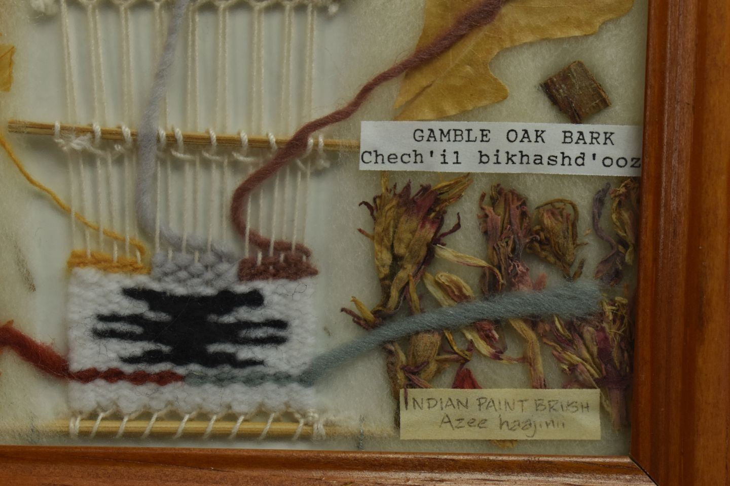 NAVAJO INDIAN DYE AND MEDICINE CHARTS