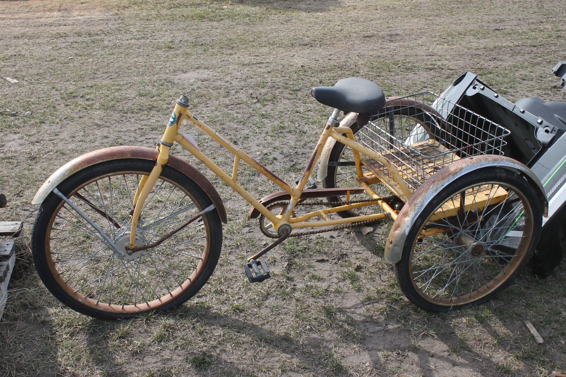 Worksman 3 wheel bicycle (as is)
