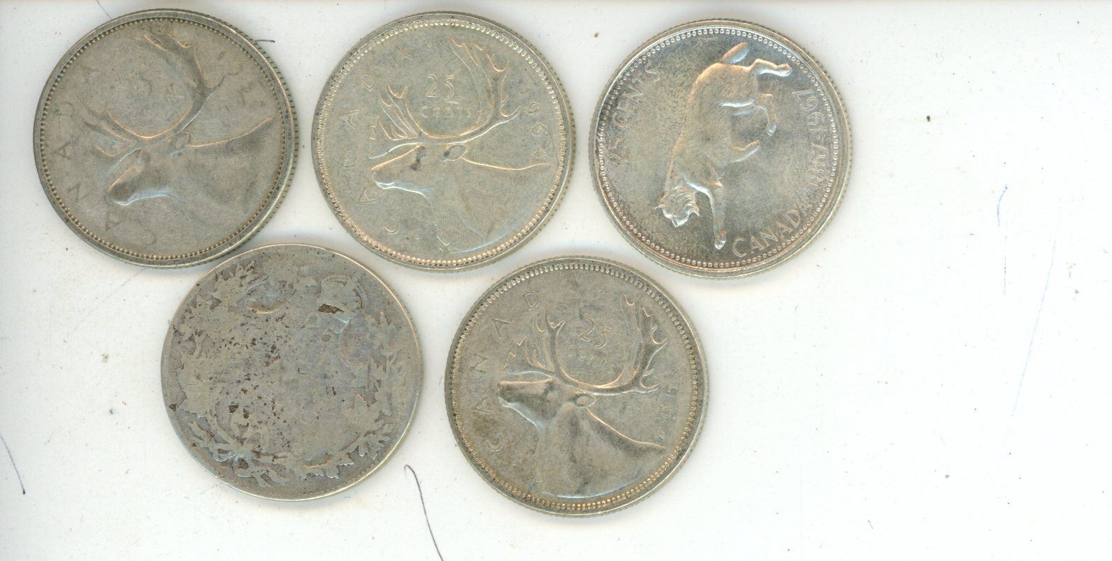 5 silver Canadian Quarters -1959,1964,1867-1965 cougar