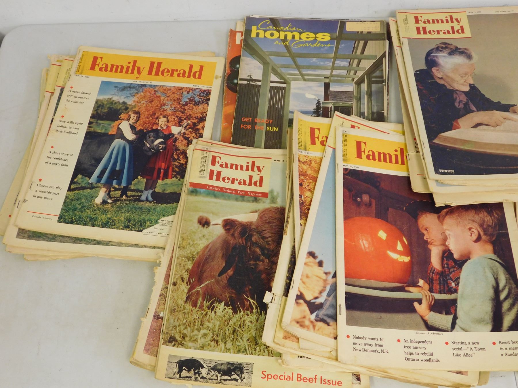 Lot of 65 Family Herald Magazines Mostly 1950s Ranging 1956-1962 *great ...