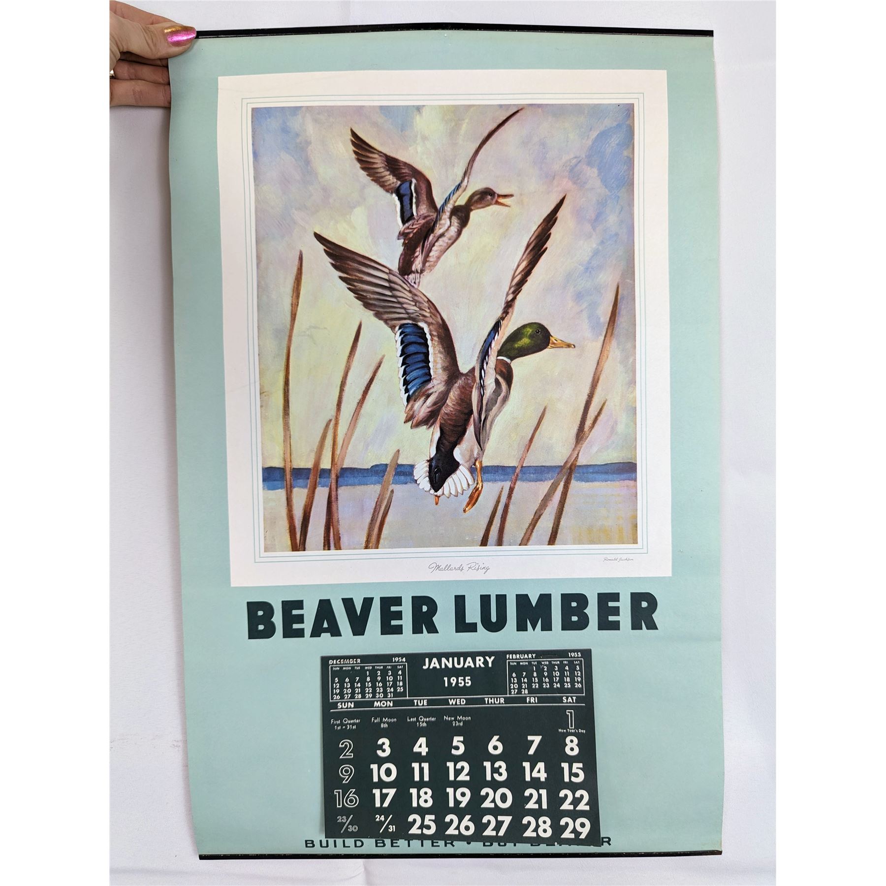 1955 Advertising Calendar - Beaver Lumber