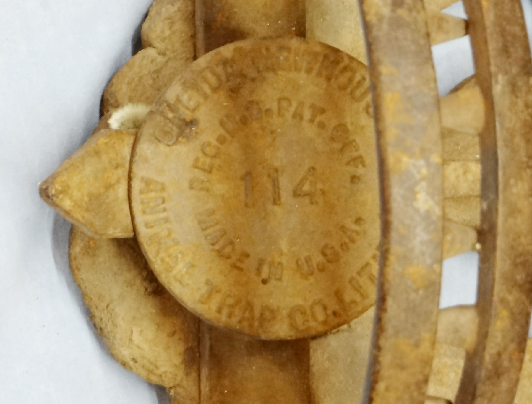 Newhouse 114 wolf trap w/teeth and chain