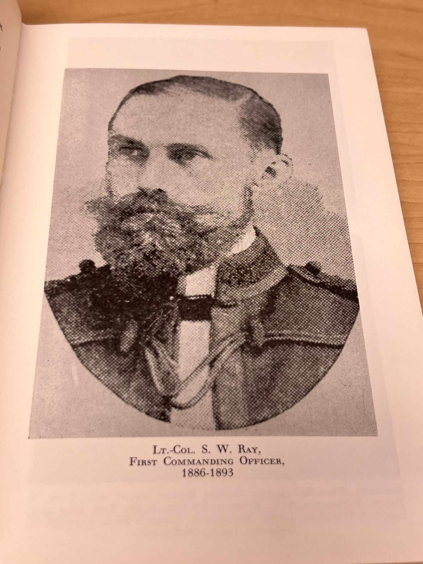 History Of Lake Superior Regiment Book - In The Face of Danger - Lieut ...