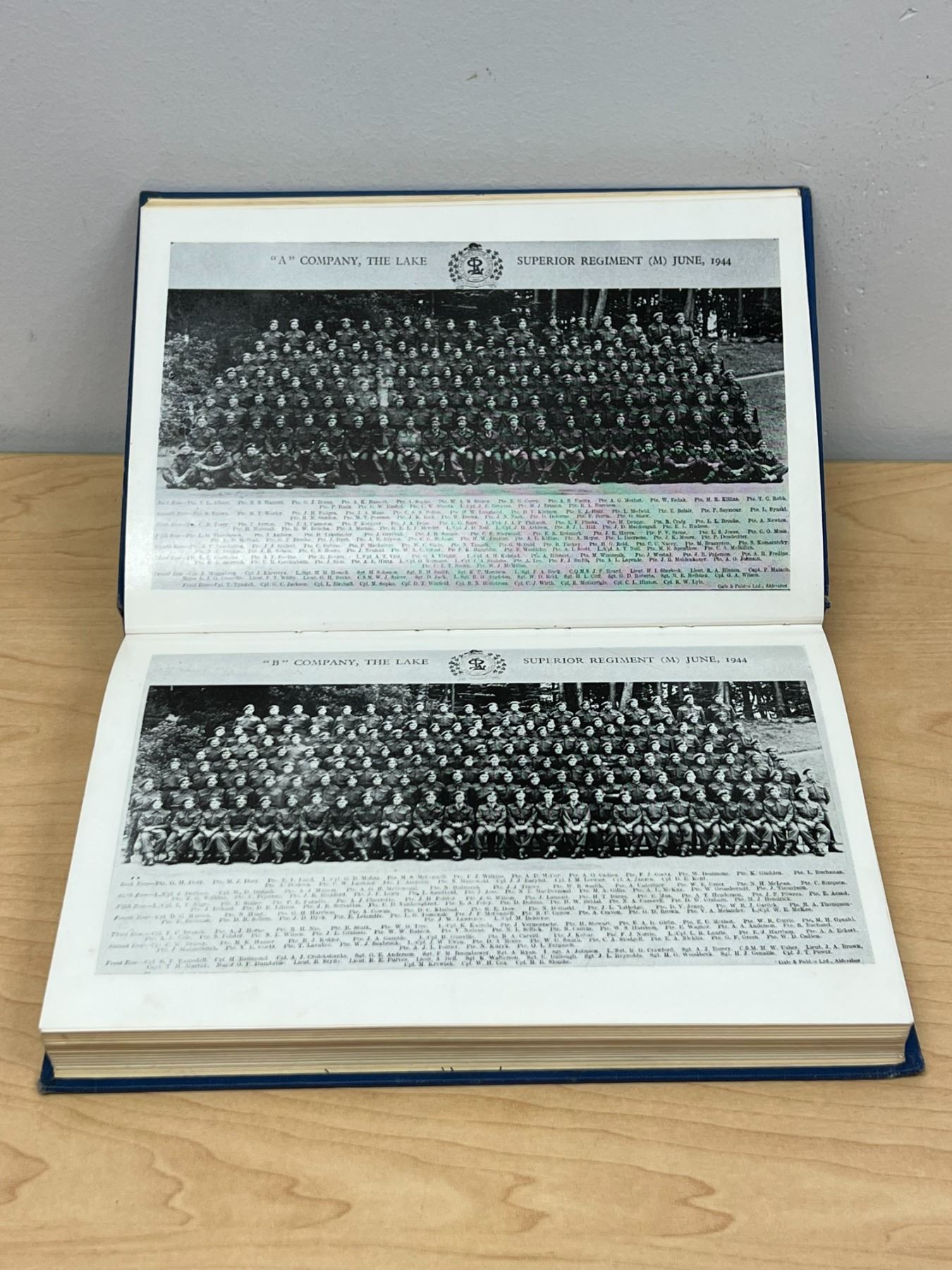 History Of Lake Superior Regiment Book - In The Face of Danger - Lieut ...