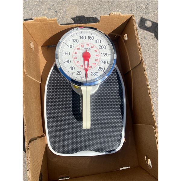 Taylor professional scale