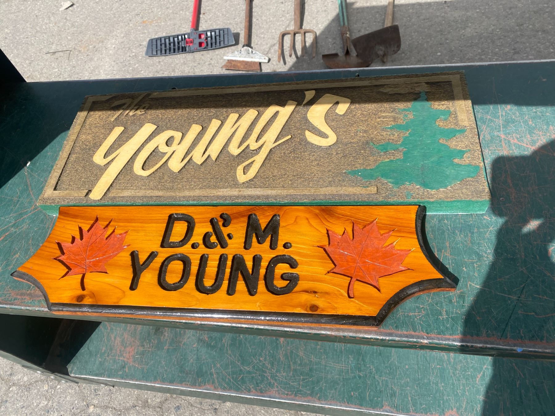 Young signs