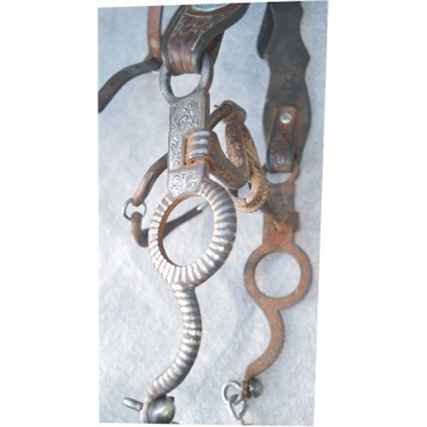bridle with Fleming silver inlaid ring bit