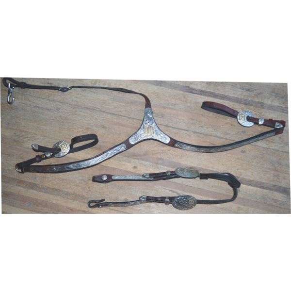 Dale Chavez silver mounted headstall and breast collar
