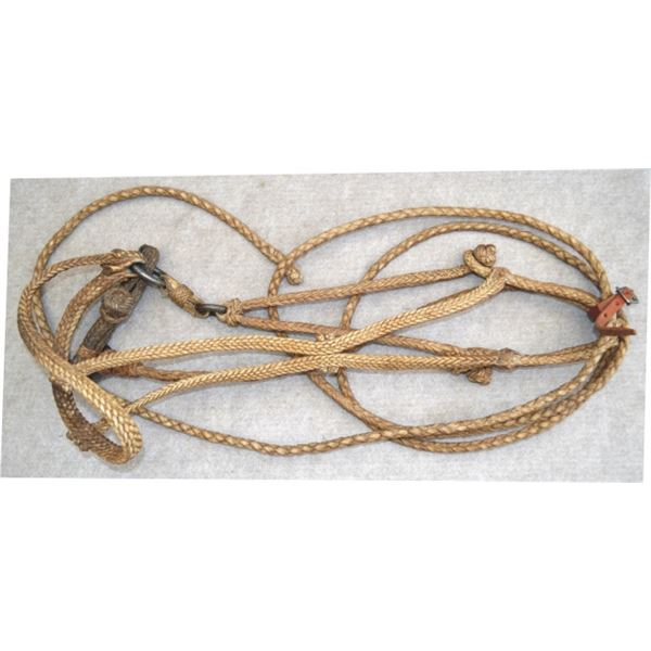 unusual rawhide halter