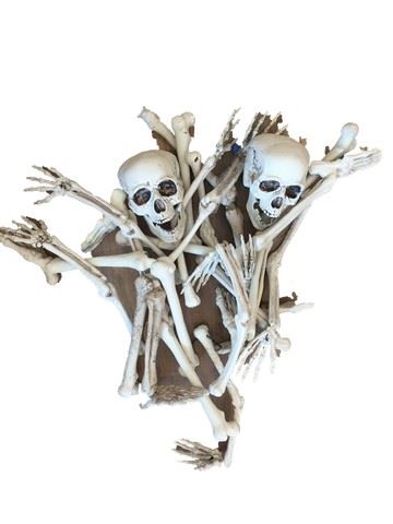 Hell Fest Skeleton Bones Movie Props