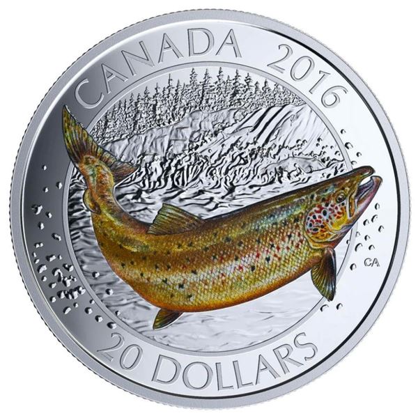 2016 $20 Canadian Salmonids: Atlantic Salmon - Pure Silver Coin