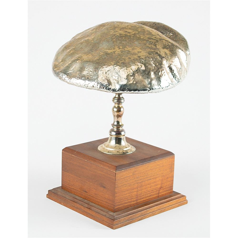 William P. Yarborough's U.S. Army SF Green Beret Award