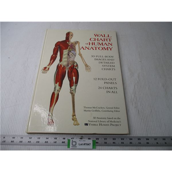 Wall Chart Of Human Anatomy Book Bodnarus Auctioneering Wall Chart Of Human Anatomy Book Bodnarus Auctioneering