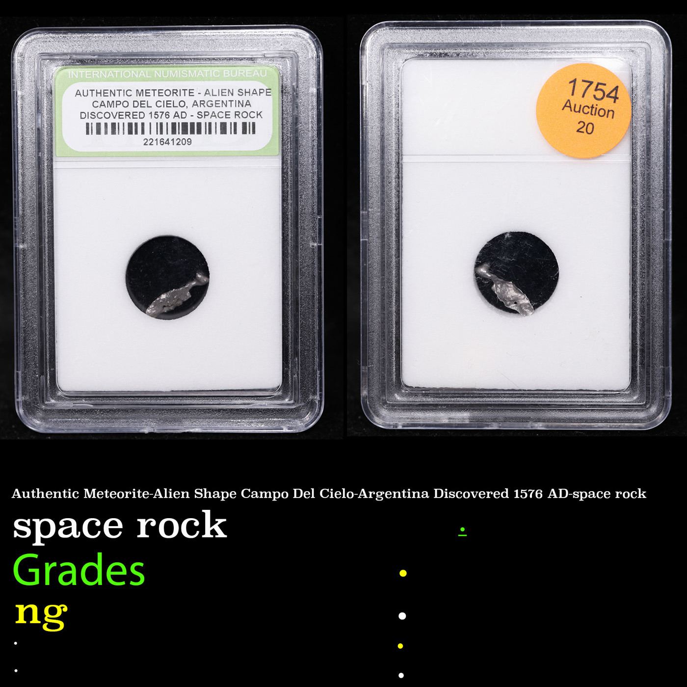 Authentic Meteorite-Alien Shape Campo Del Cielo-Argentina Discovered ...