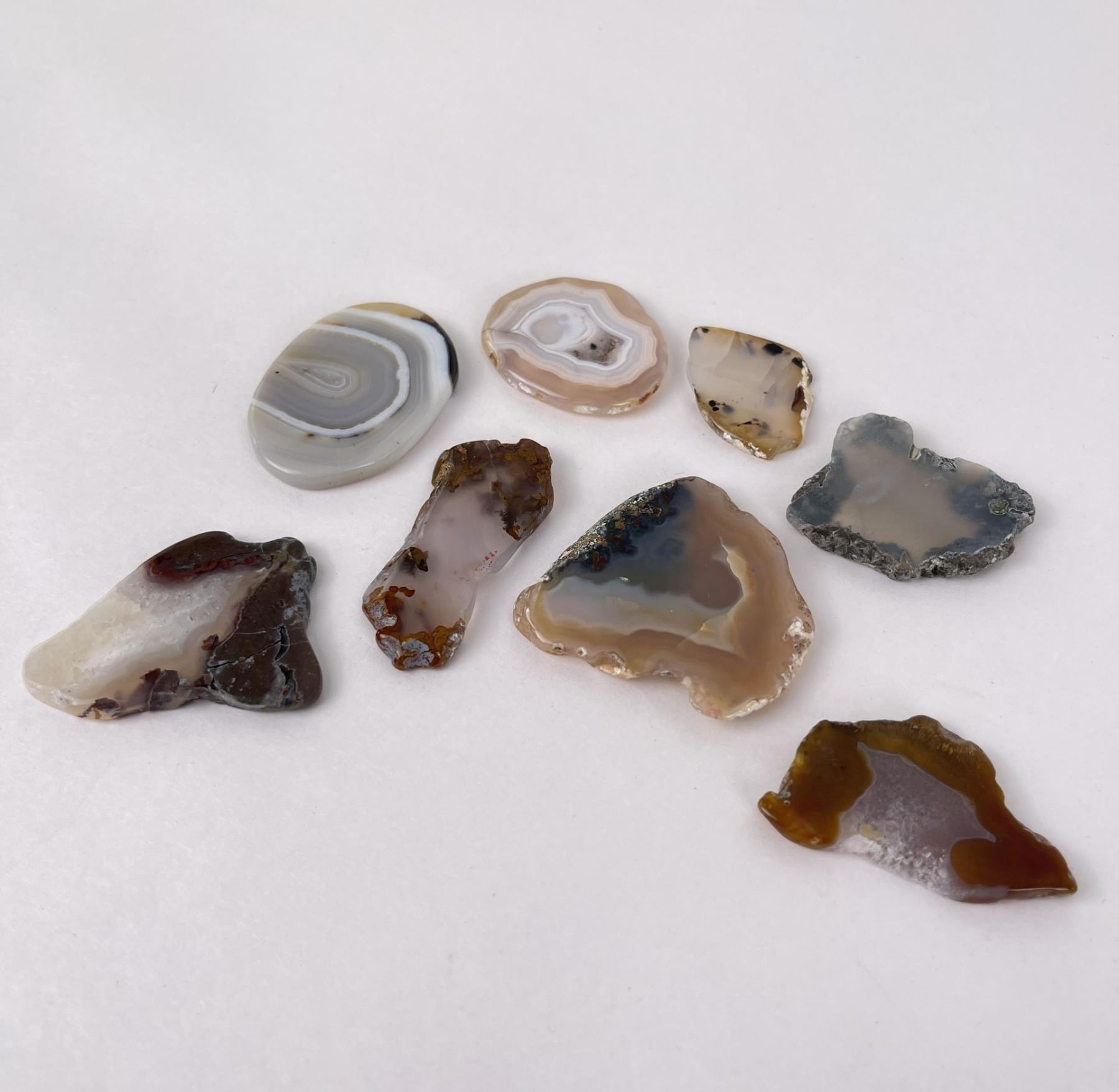 Polished Montana Agates