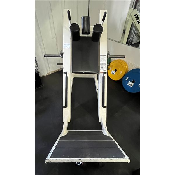 Cybex Plate Loaded Hack Squat Machine