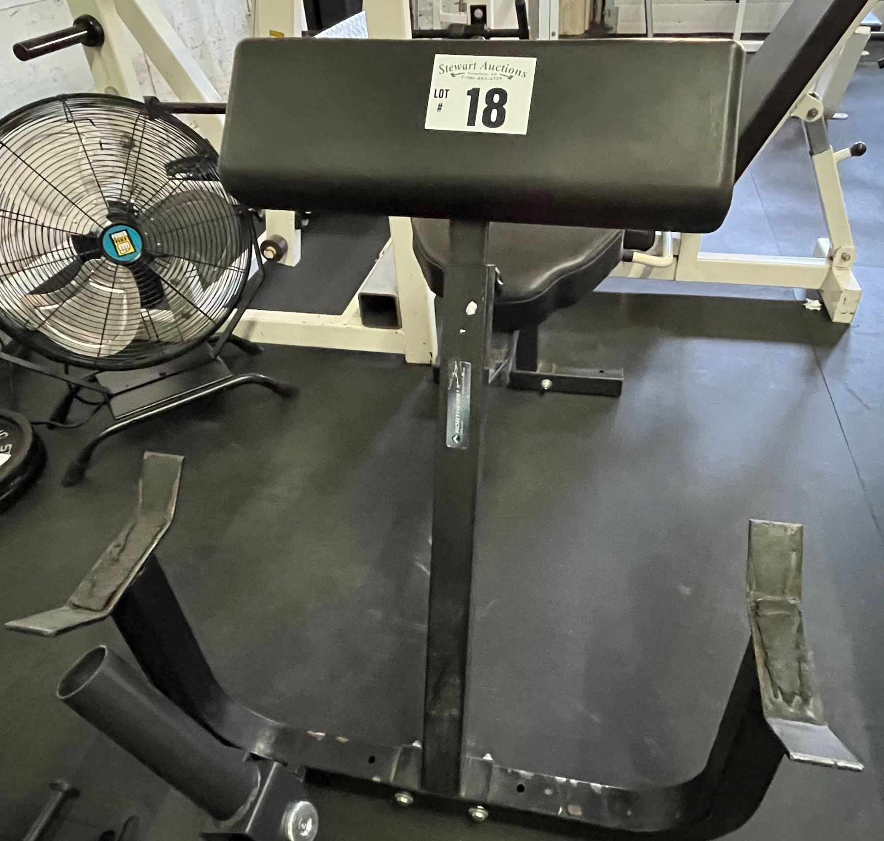 Northern Lights Preacher Curl Bench