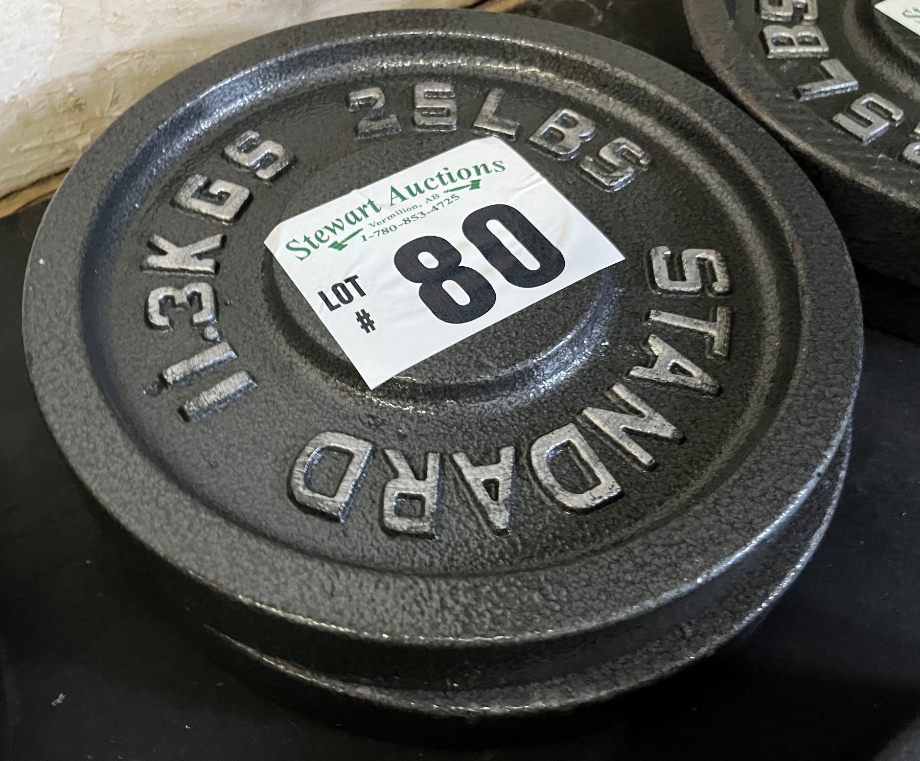 2 - 25lb Plates (2inch Hole)
