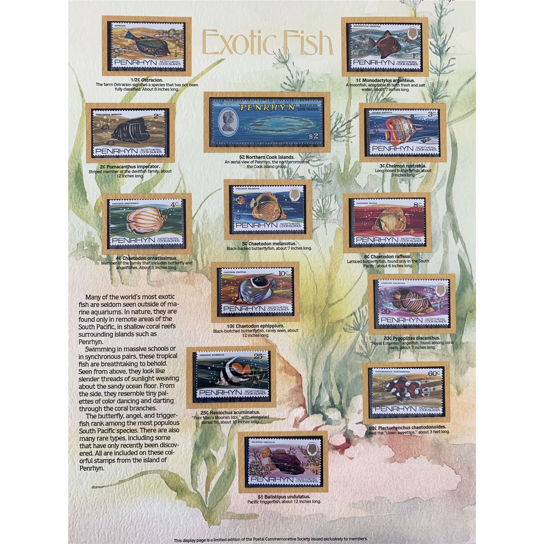 Exotic Fish Stamp Set- rare