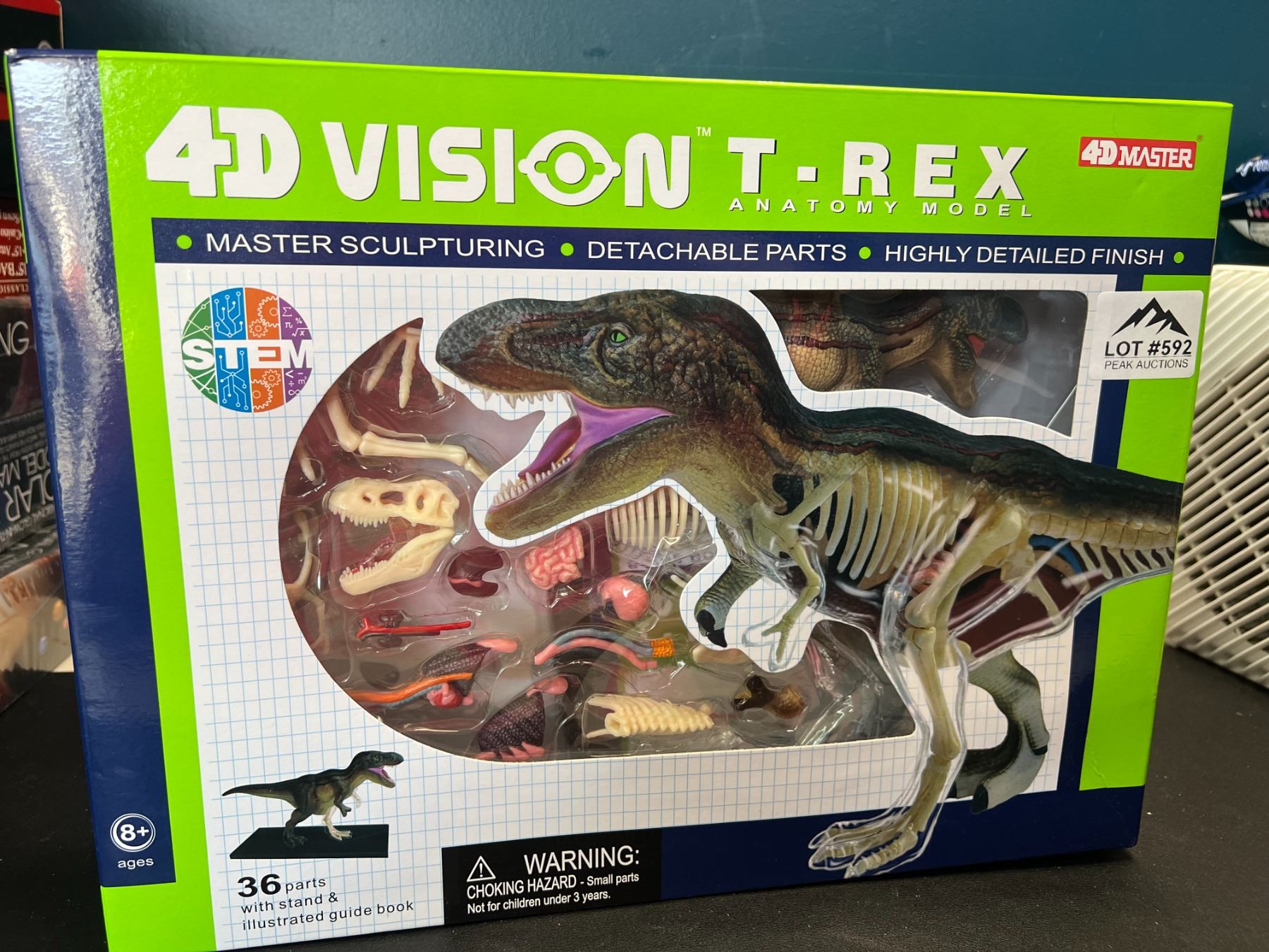 Lot of 1 4D Vision T-Rex Anatomy Model
