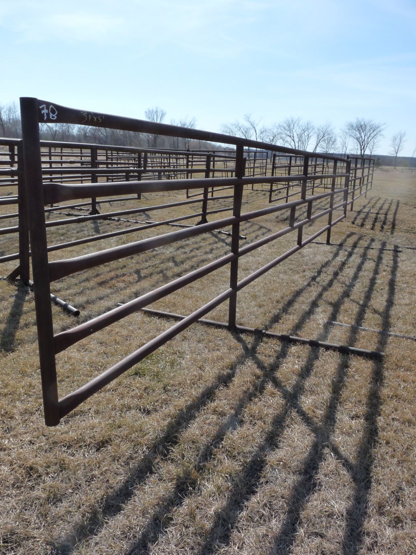 Free standing 5 bar corral panel 31 feet long x 5 foot tall approximately