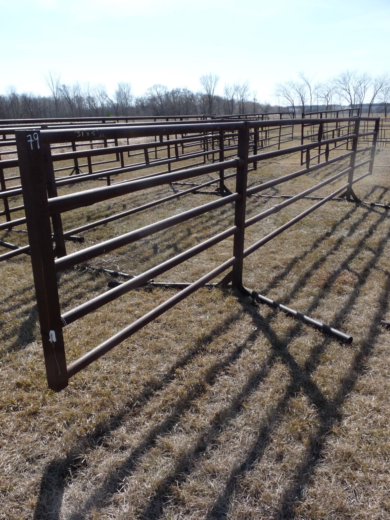 Free standing 5 bar corral panel 31 feet long x 5 foot tall approximately