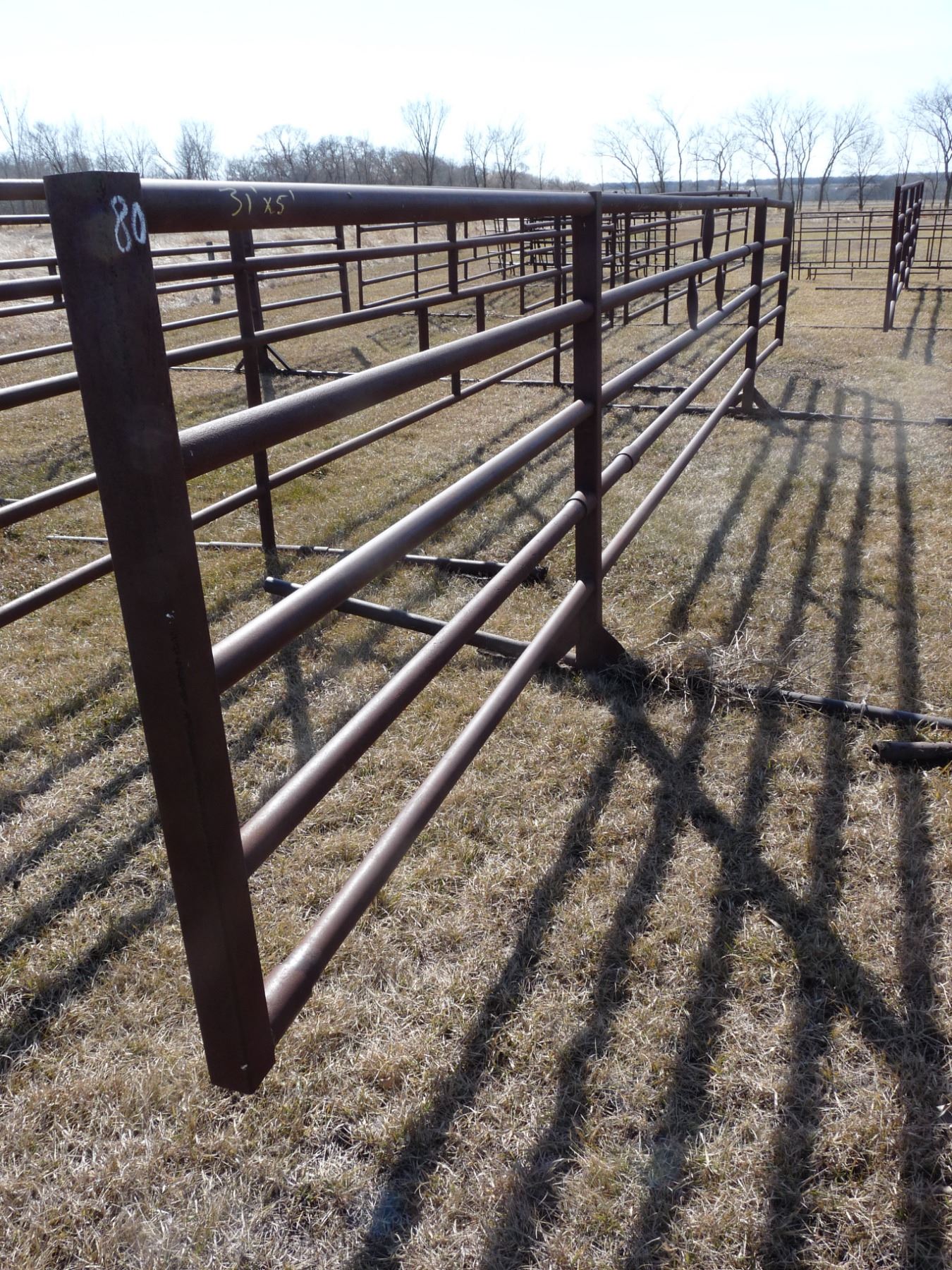 Free standing 5 bar corral panel 31 feet long x 5 foot tall approximately