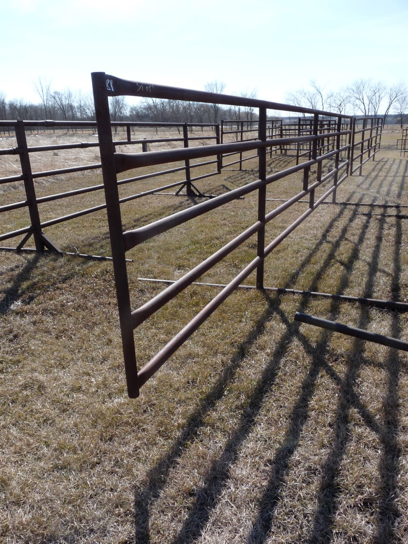 Free standing 5 bar corral panel 31 feet long x 5 foot tall approximately