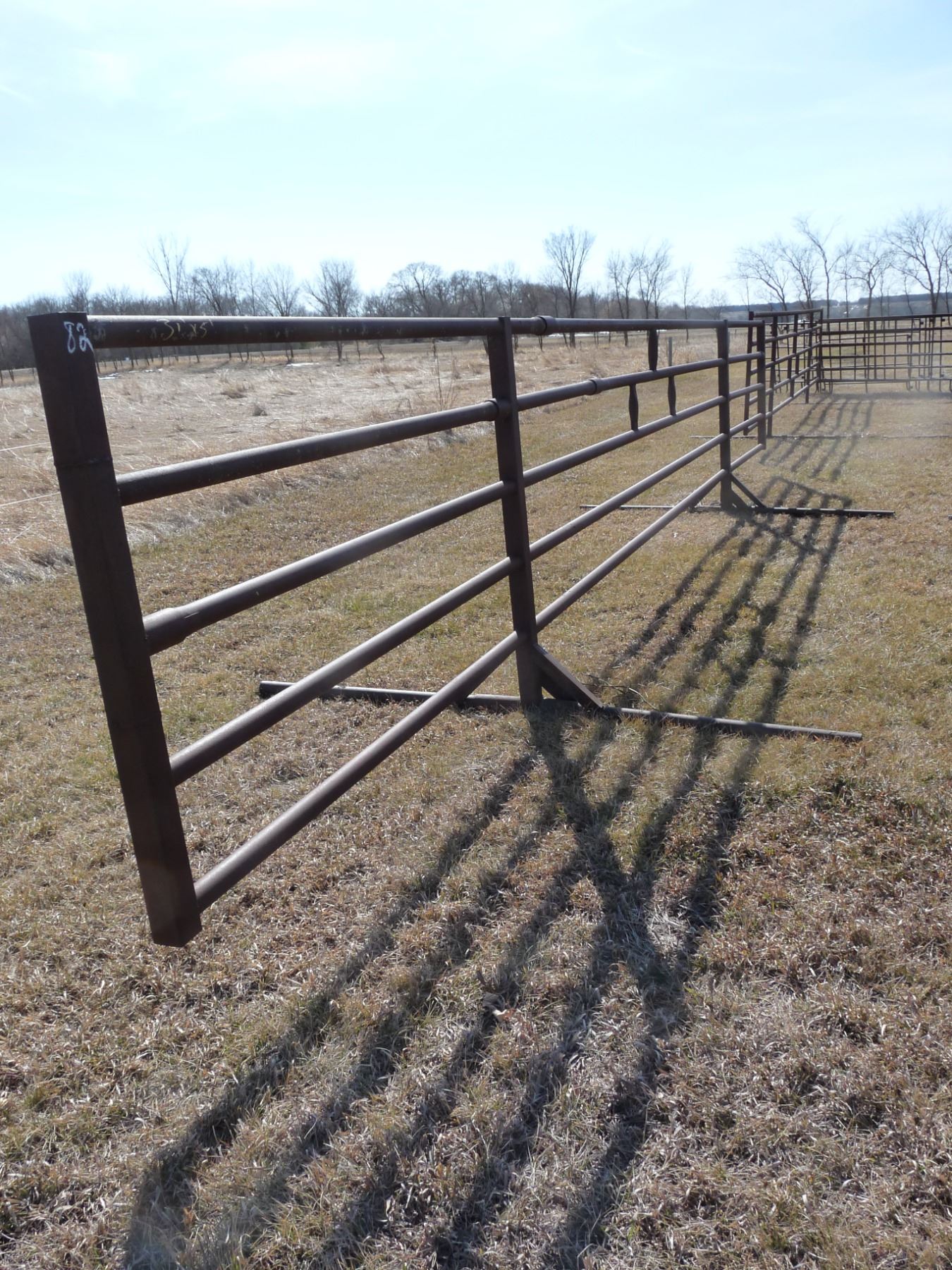 Free standing 5 bar corral panel 31 feet long x 5 foot tall approximately