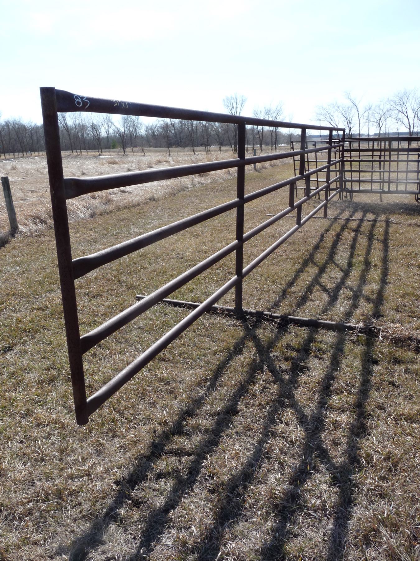 Free standing 5 bar corral panel 31 feet long x 5 foot tall approximately