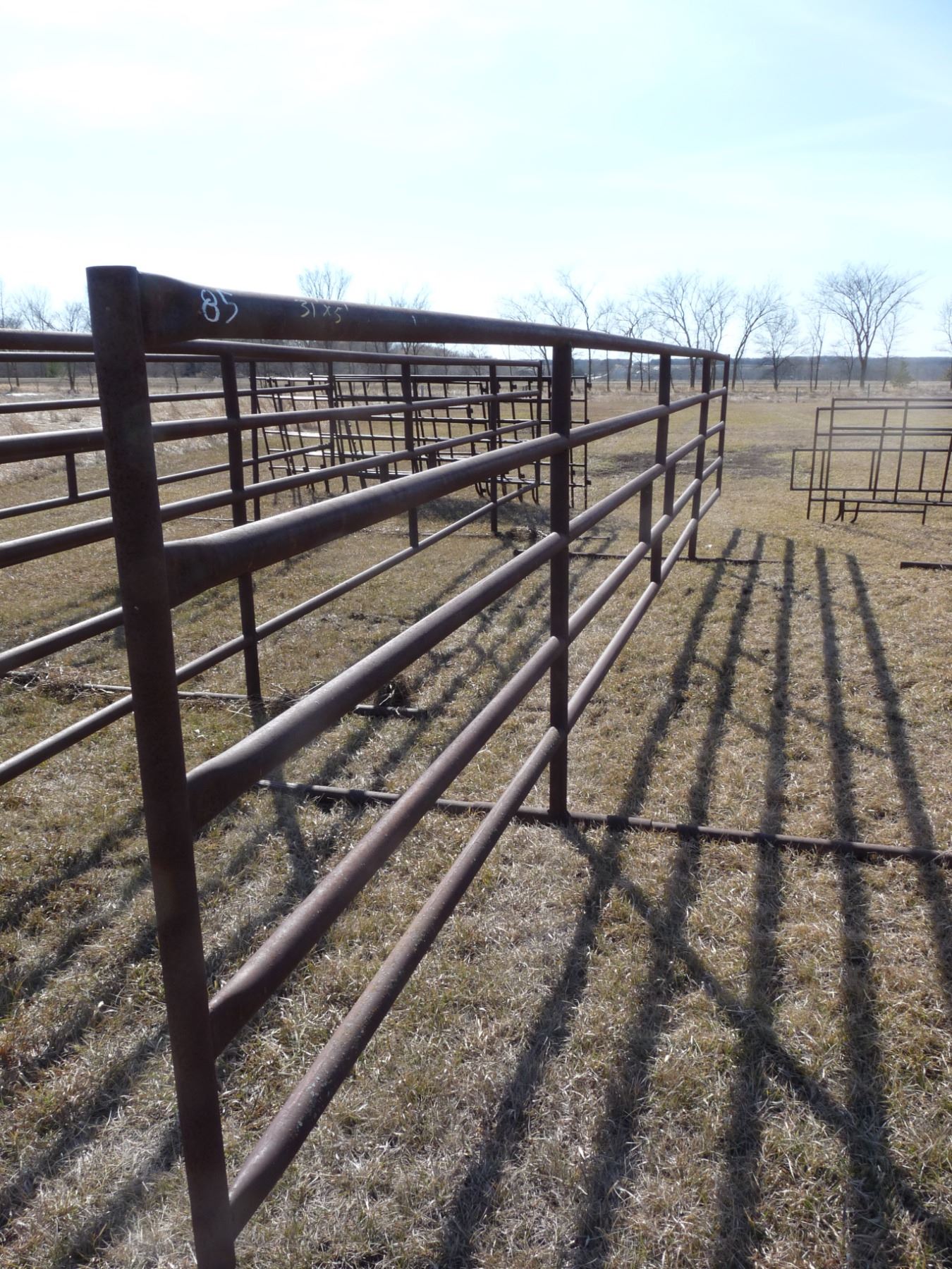 Free standing 5 bar corral panel 31 feet long x 5 foot tall approximately