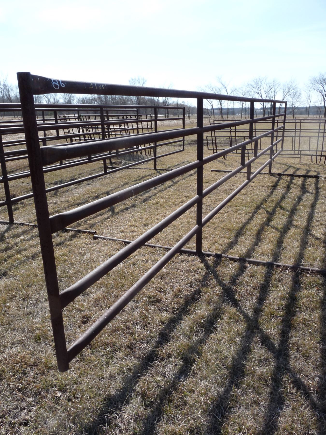 Free standing 5 bar corral panel 31 feet long x 5 foot tall approximately